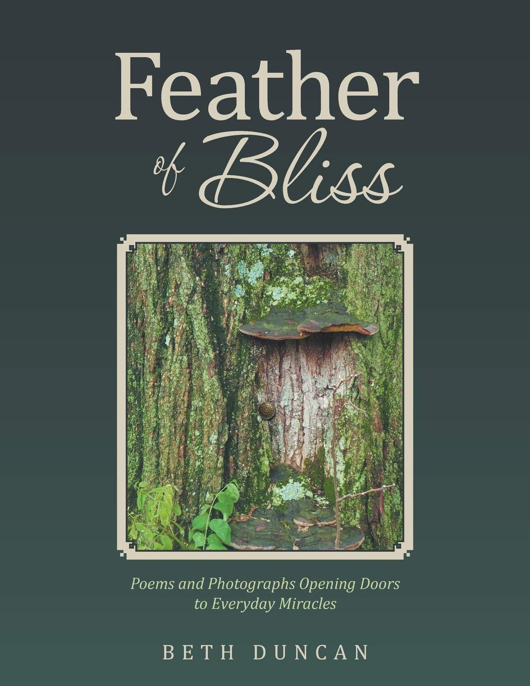 Feather of Bliss: Poems and Photographs Opening Doors to Everyday ...