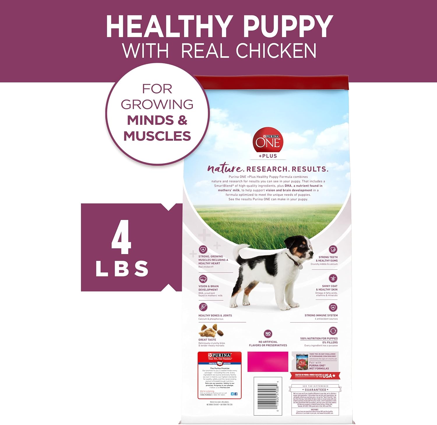 Purina ONE – Alimento seco natural para cachorros, fórmula SmartBlend ...