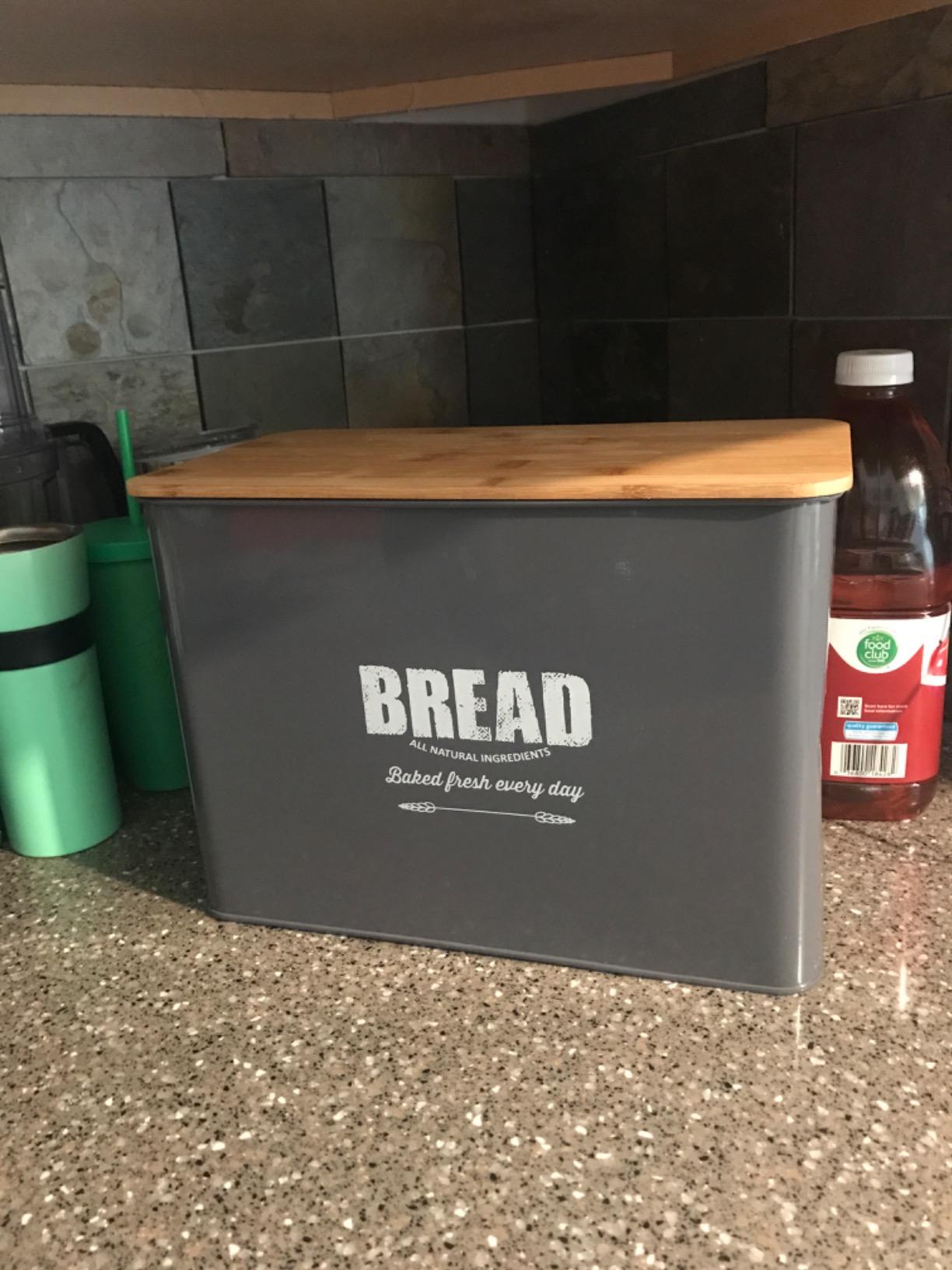 Amazon.com: Geyecete Extra Large Space Saving Vertical Bread Box With ...