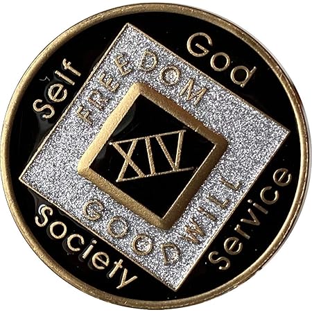 Amazon.com : 14 Year NA Medallion Official Narcotics Anonymous Chip XIV ...