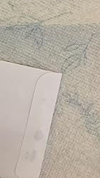 Amazon.com: STK's Paternity Test Kit - Includes All LAB FEES and Free ...