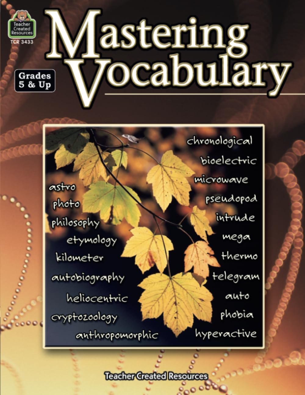Amazon.com: Mastering Vocabulary: Grades 5 & Up: 9780743934336: Teacher ...