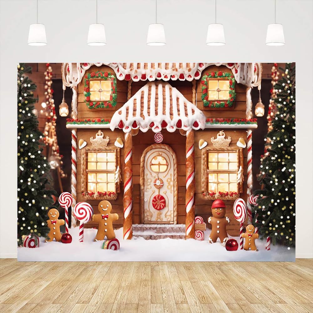 Amazon.com : Ticuenicoa Christmas Winter Gingerbread House Backdrop ...