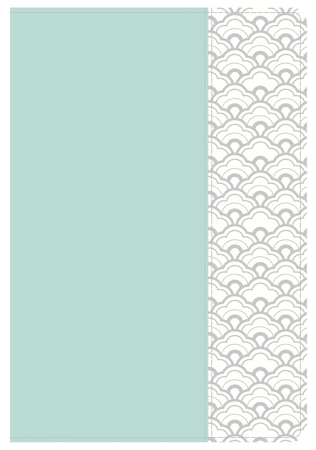 HCSB Compact Ultrathin Bible, Mint Green LeatherTouch: Holman Bible ...