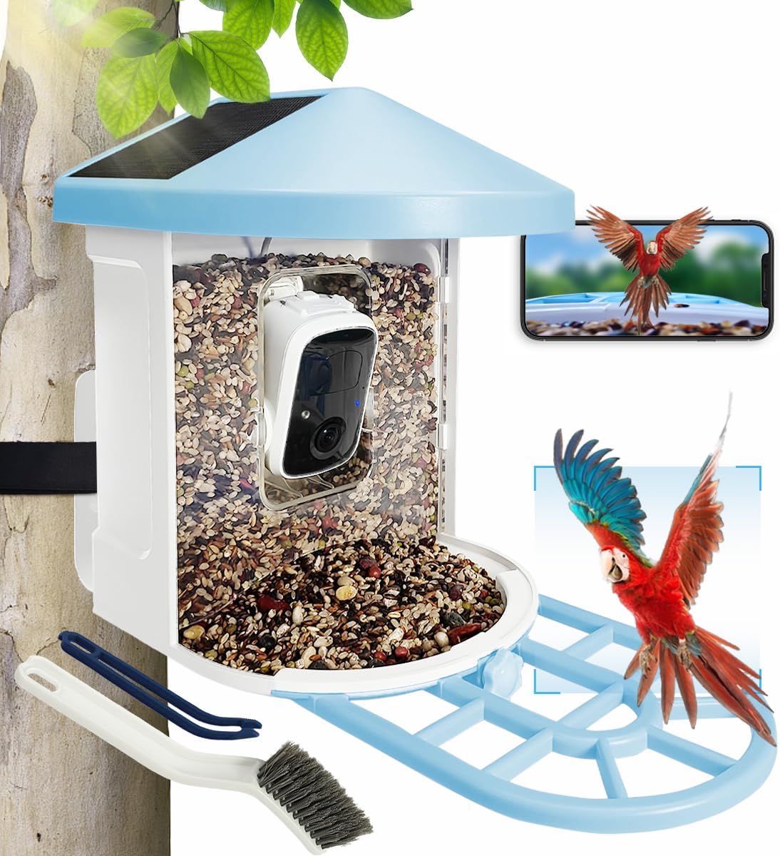 Amazon.com : Smart Bird Feeder with Camera, Bird Watching Camera,1080P ...
