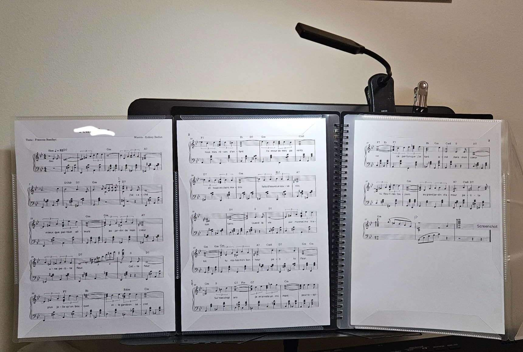 Sheet Music Folder - 4-Page Expandable A4 Score Binder With Spiral ...