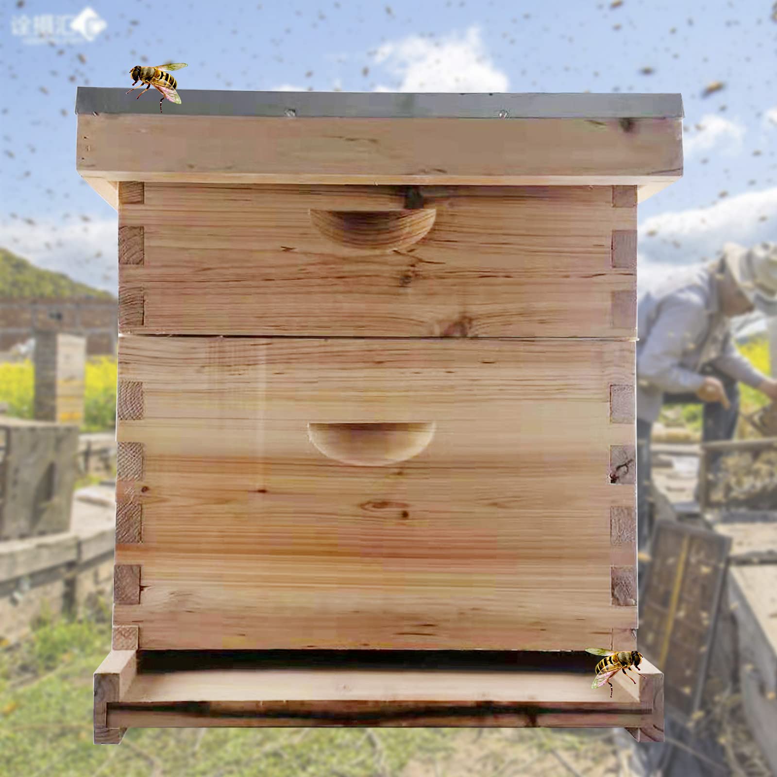 Complete Beehive Kit Complete Hive Body Kit Starter Bee Hive ...