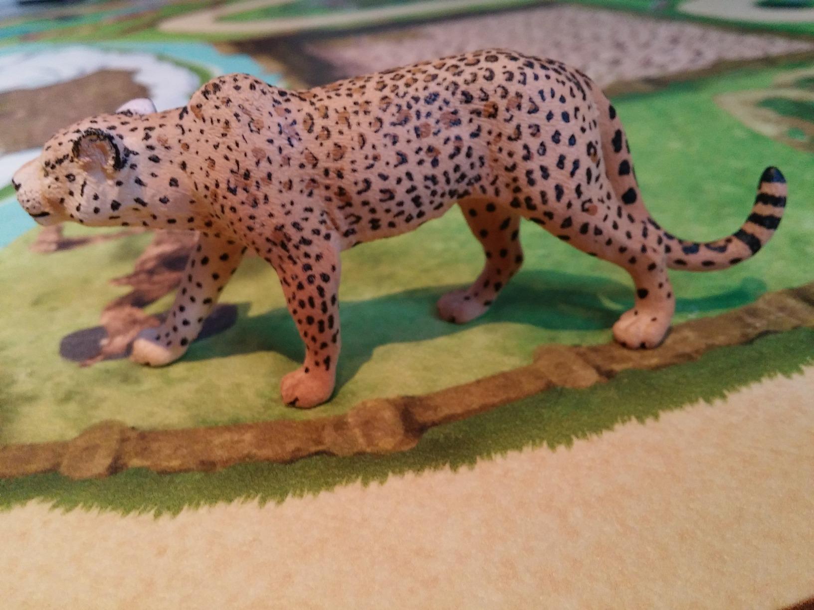 Schleich 14748 - Leopard: Amazon.de: Spielzeug