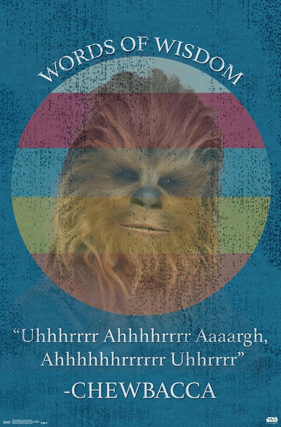 Amazon.com: Trends International Star Wars: Saga - Chewbacca Quote Wall ...