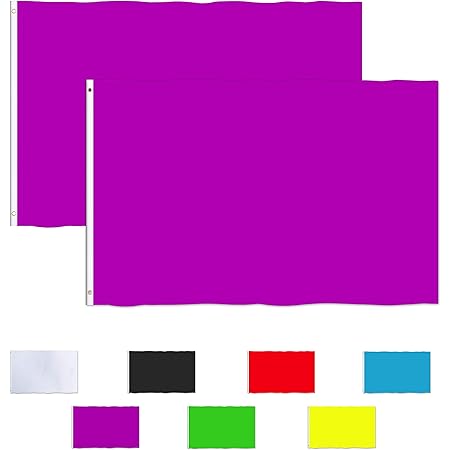 Amazon.com : Consummate Solid Purple Flag 3x5 Foot Plain Purple Flags Banner Polyester with ...