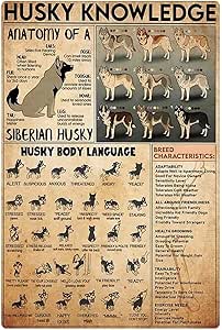 Amazon.com : Old Tin Plaque Vintage Husky Knowledge Metal Tin Signage ...
