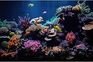 Amazon.com : Aquarium Background Marine Life Colorful Corals Terrarium ...