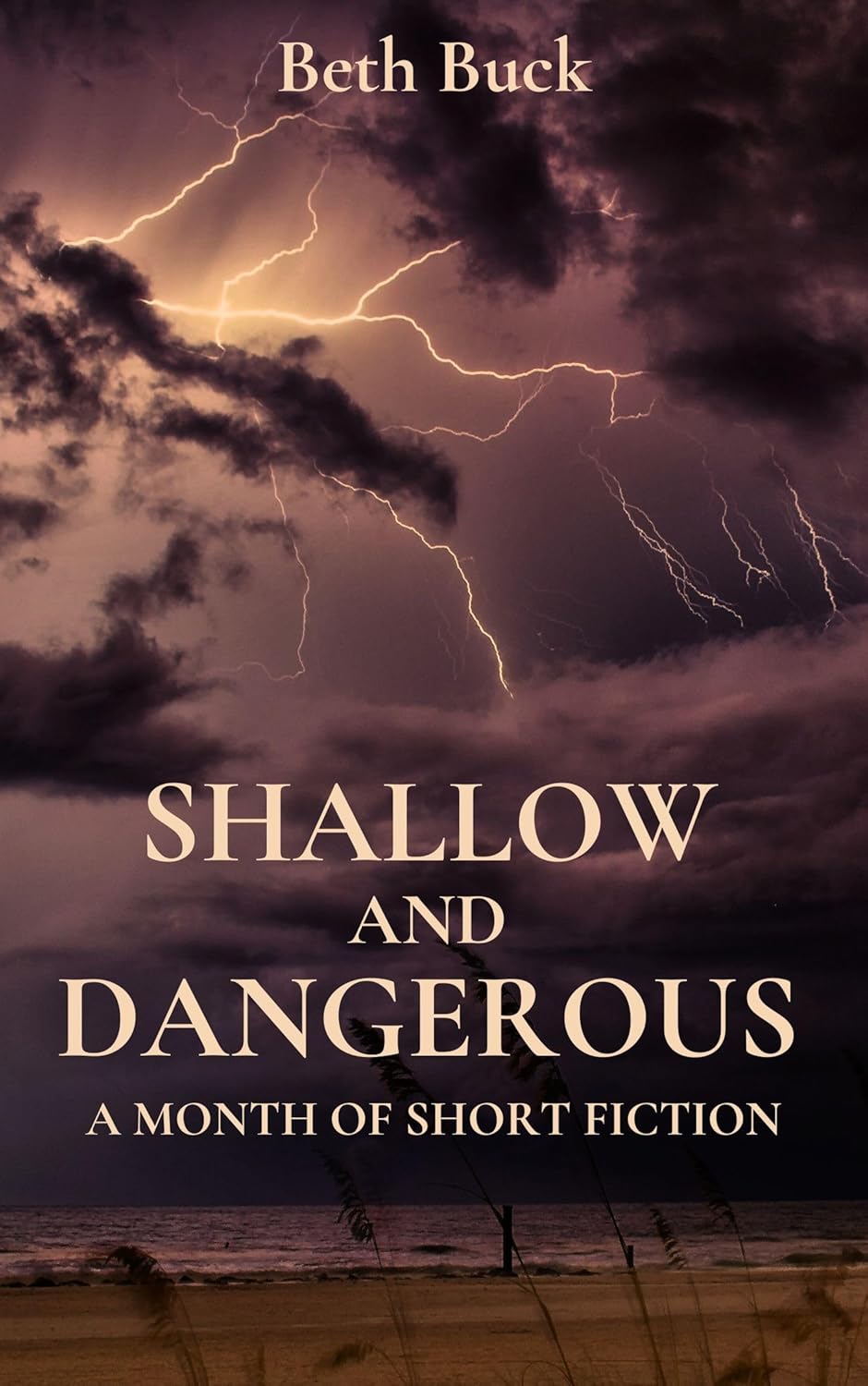 Amazon.com: Shallow and Dangerous: A Month of Short Fiction eBook ...
