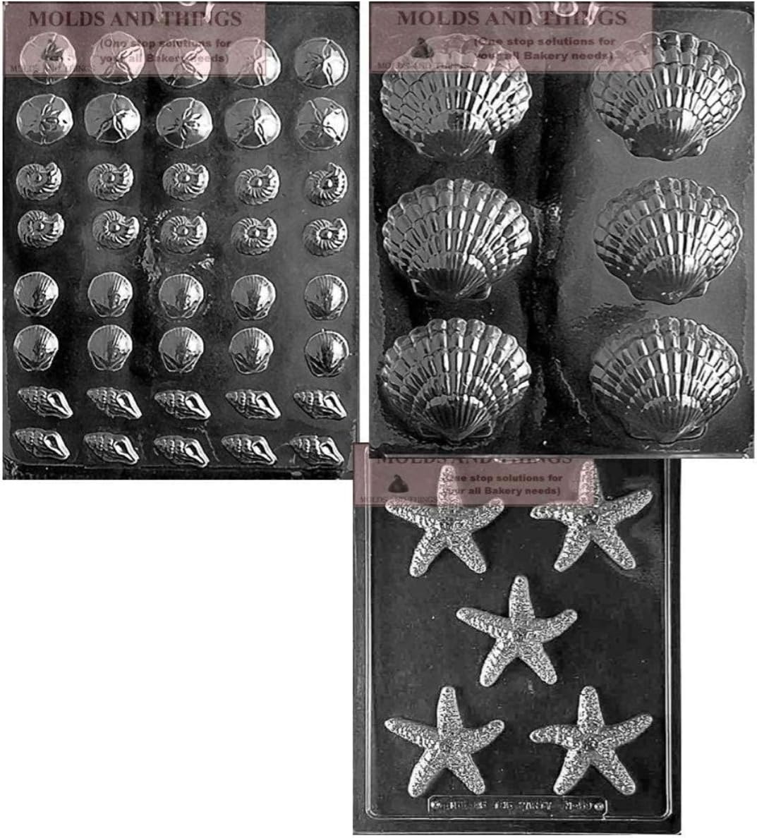 Amazon.com: Fancy Shells Chocolate Candy Mold, Starfish chocolate candy ...