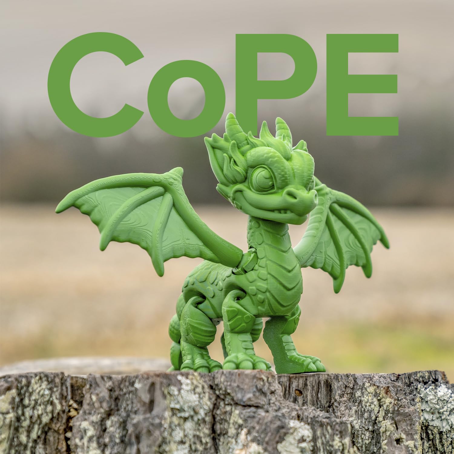 Snapklik.com : Polymaker Panchroma CoPE 3D Printer Filament, Jungle ...