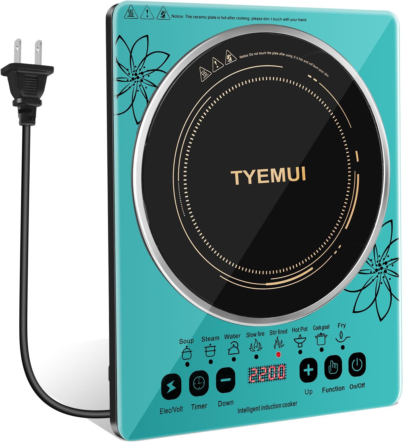 Amazon.com: TYEMUI 2200W Induction Hot Plate,Portable Electric Cooktop ...