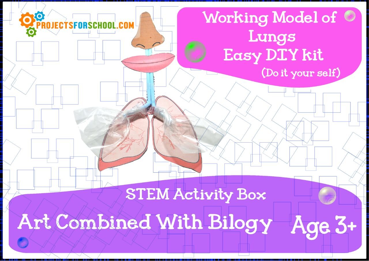 Buy Projectsforschool Working Model of Lungs Easy DIY Kit for 3+ Kids ...