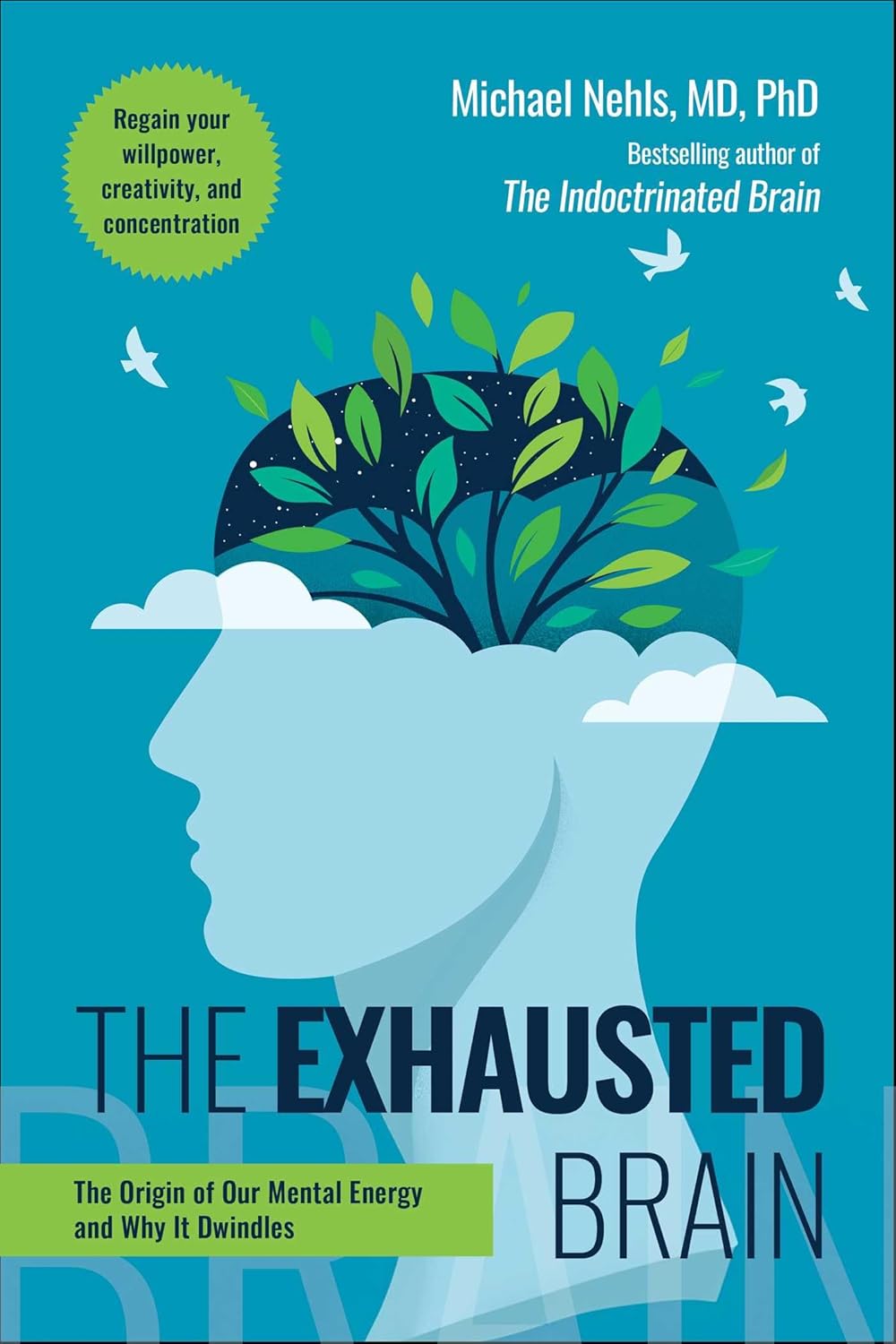 Exhausted Brain: The Origin of Our Mental Energy and Why It Dwindles ...