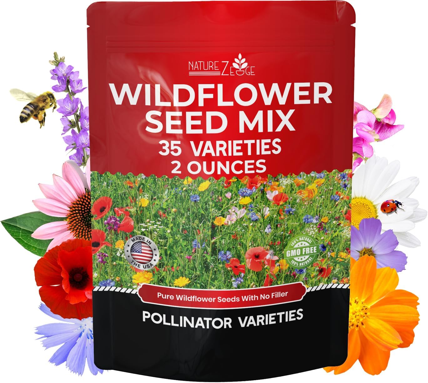 Amazon.com : 100pcs/pack Morning Glory Seeds Beautiful Perennial ...