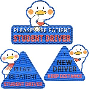 Amazon.com - Dreothy 3PCS Cute Duck New Driver Reflective Stickers for ...