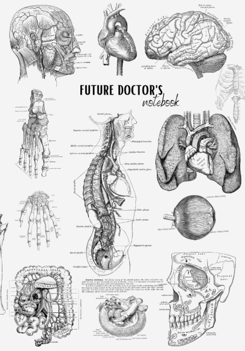 B5 College Ruled Notebook ⎢100 Pages College Ruled Notebook for Student ...