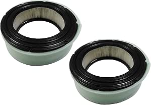 Amazon.com: C·T·S Air Filter 2pcs for B&S 38 54 61 V-Twins Vanguard ...