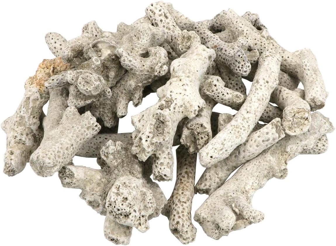 Amazon.com : YOLUFER 500g Coral Stone Fish Tank Filter Material Fish ...