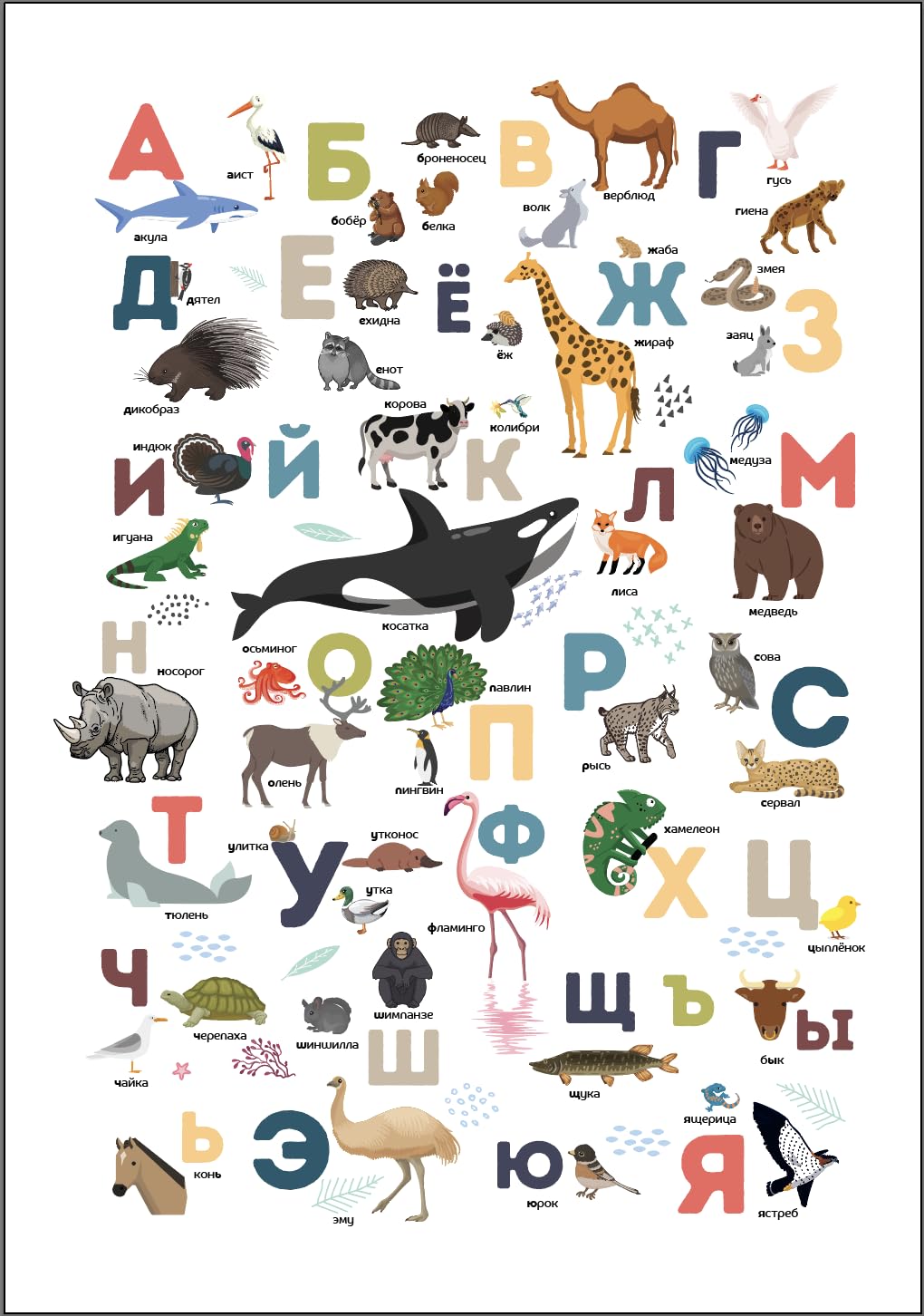 Amazon.com: Russian Animal Alphabet ABC Poster : Handmade Products