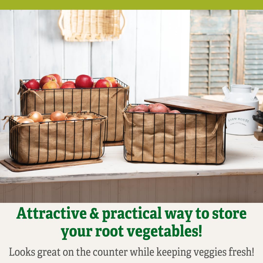 Root Vegetable Storage Containers Hardscaping 101: Modern Root Cellars