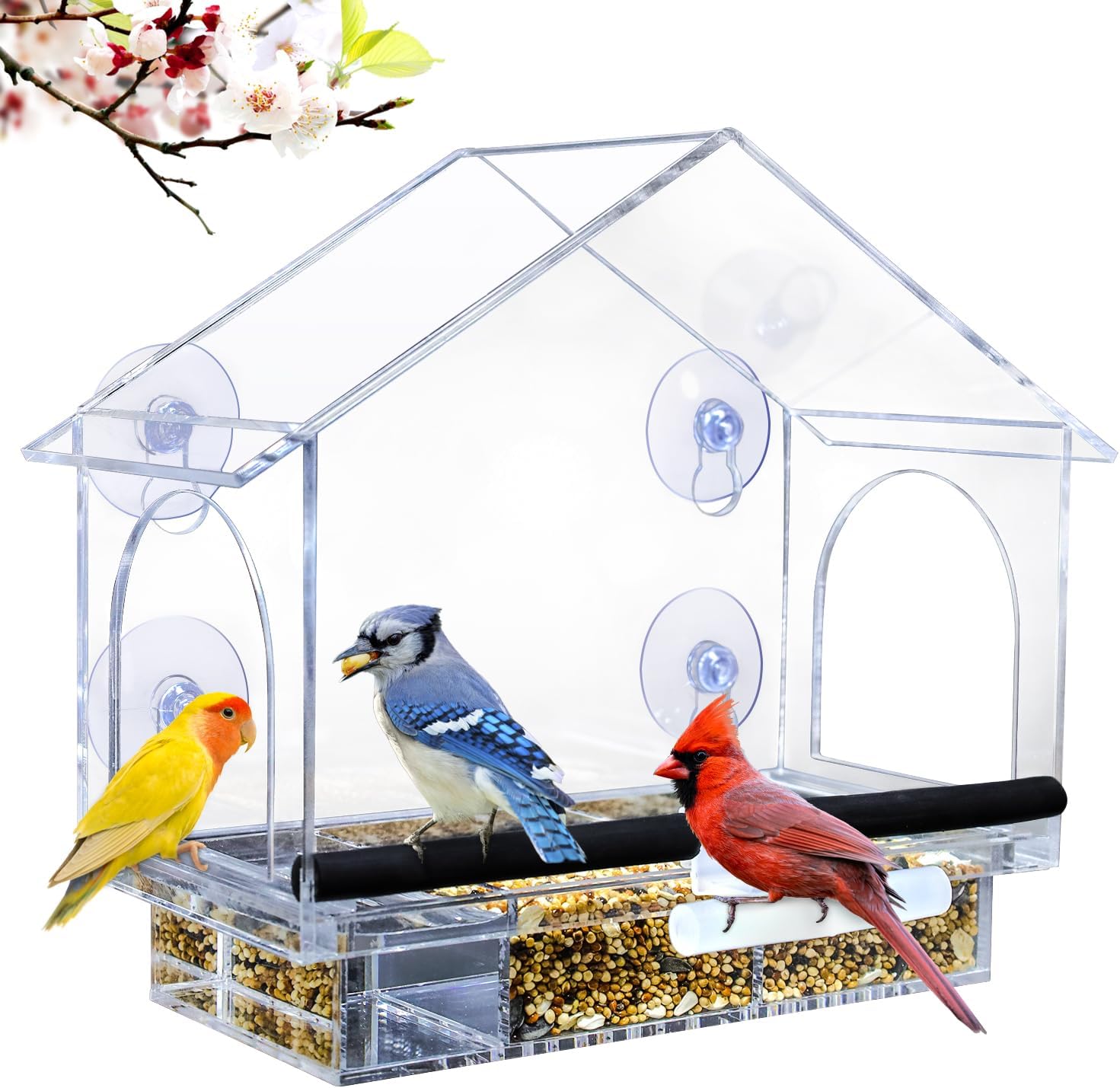 Amazon.com : Bird Window Feeder with 180° Clear View - Inside House ...