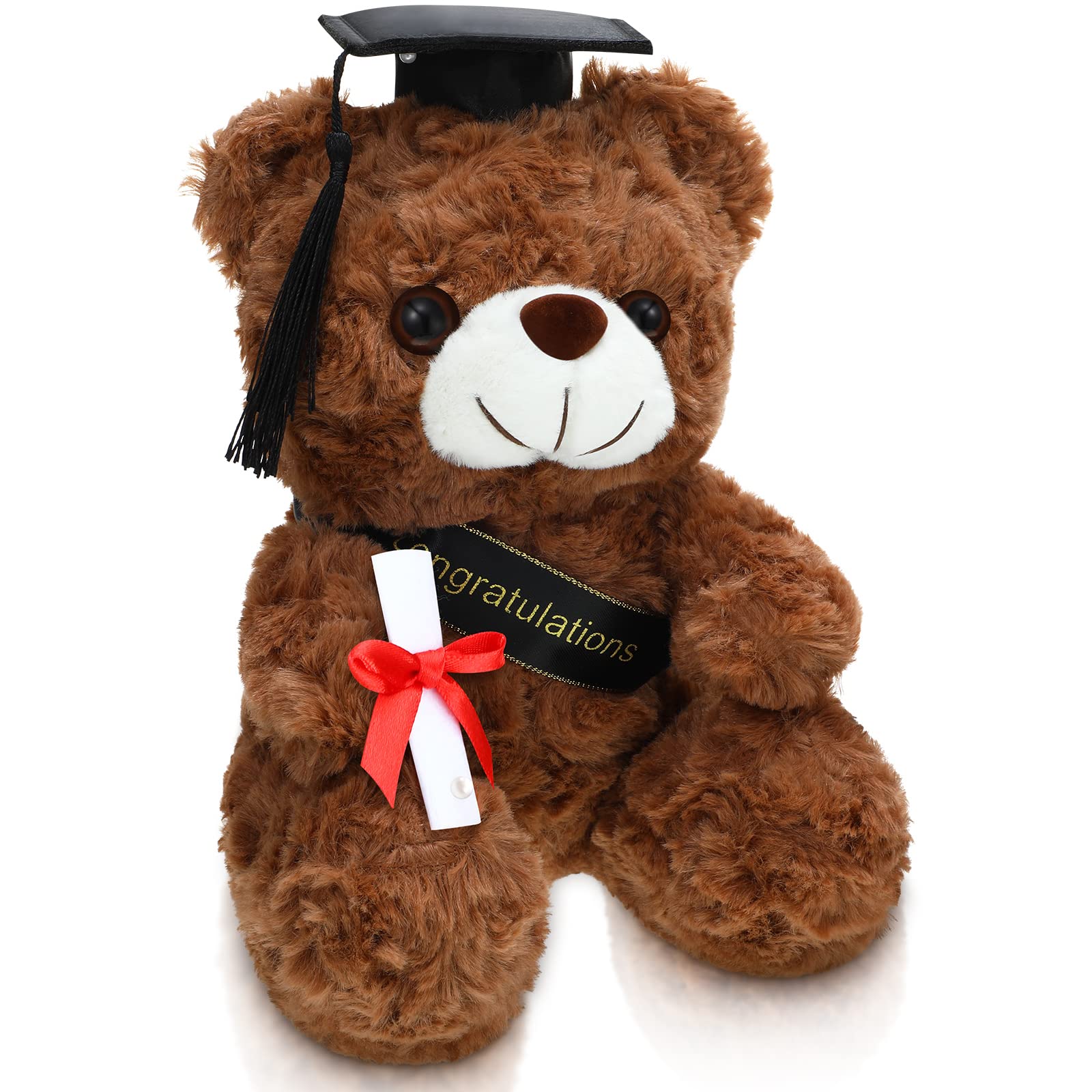 Graduation Bear Class of 2024 Graduation Plush 9 Inch Graduation Bear ...