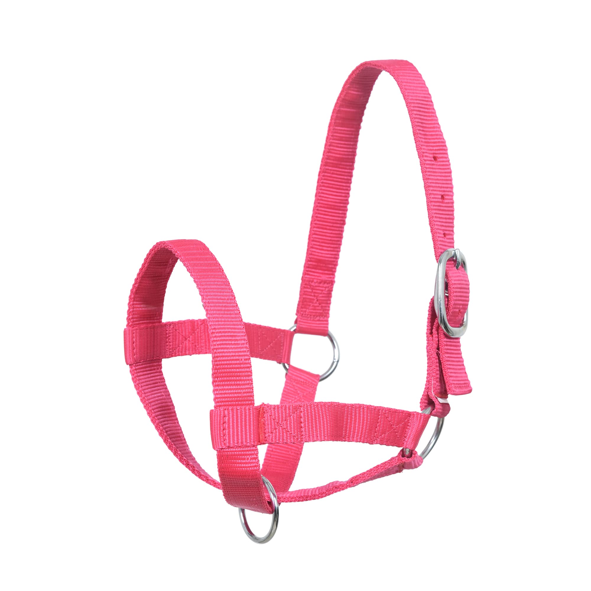 Rope Halter The Halter Company – For All Your Livestock Equipment ...