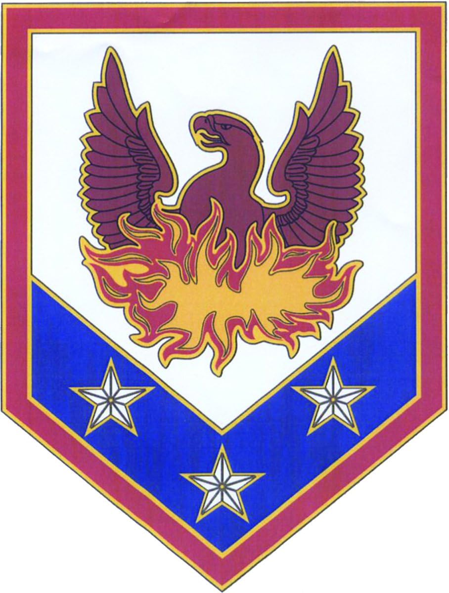 Amazon.com : 110th Maneuver Enhancement Brigade CSIB - Combat Service ...