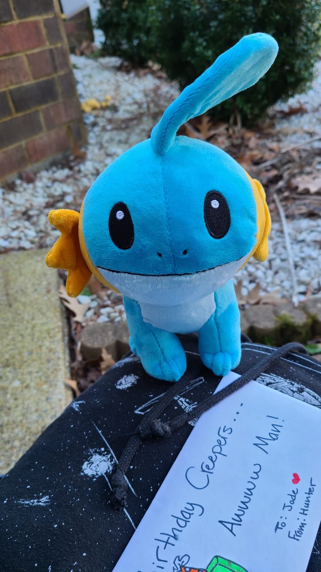 Amazon.com: Pokemon Center Original Plush Doll Mudkip 825 : Toys & Games