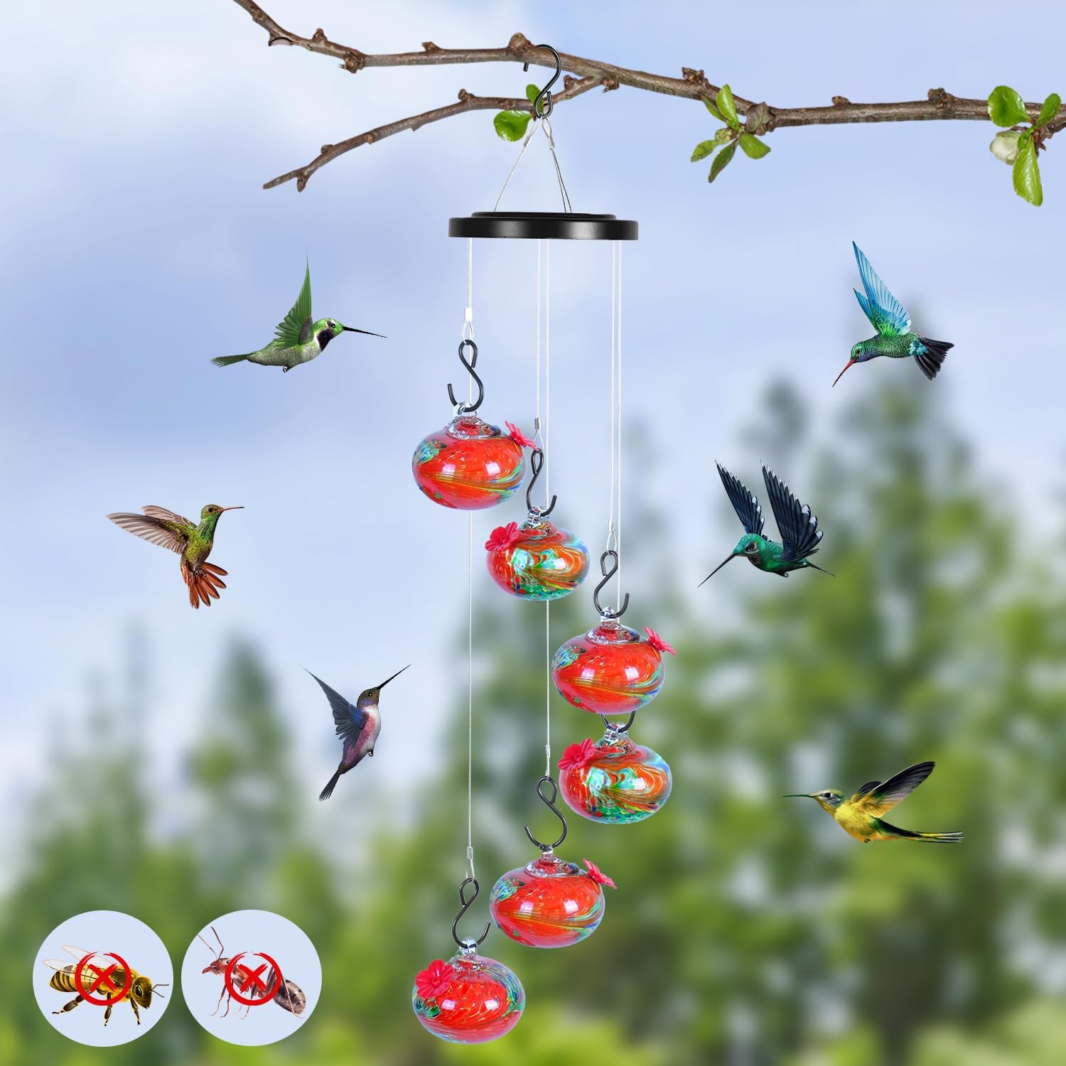 Amazon.com: ScinDa Hummingbird Feeders for Outdoors Hanging Ant and Bee ...