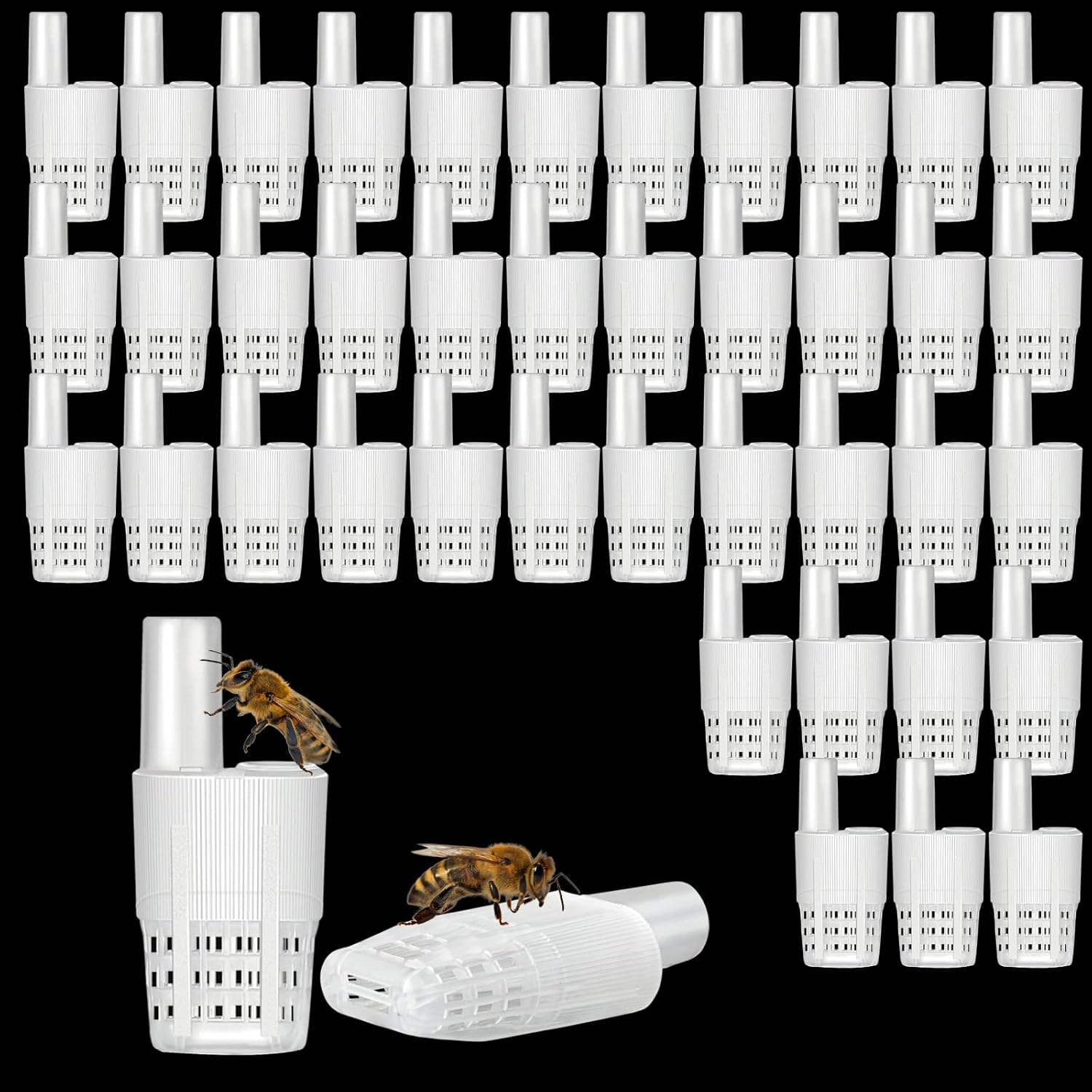 Amazon.com : 50 Pcs Queen Bee Cages Plastic White Non Grafting ...