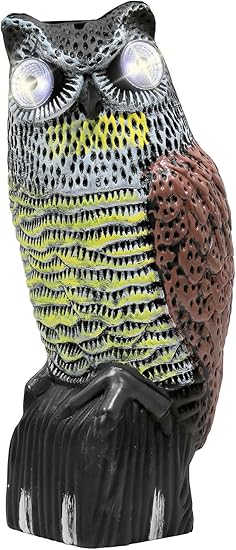Amazon.com : Galashield Owl Decoy | Plastic Owls to Scare Birds Away ...
