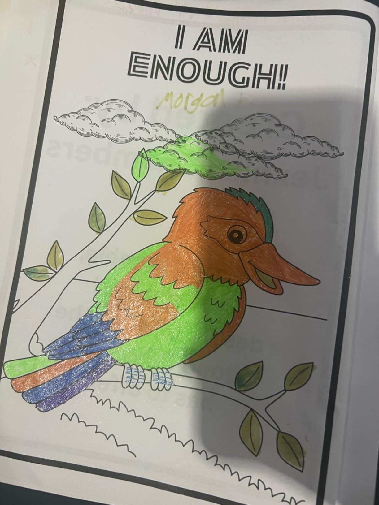 Animal Positive Affirmations Coloring book: chambers, Jexnika ...