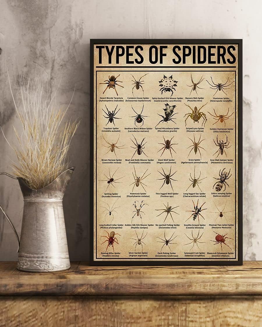 Amazon.com: Vaborous Types of Spiders Wildlife Notes, Tin Sign Poster ...