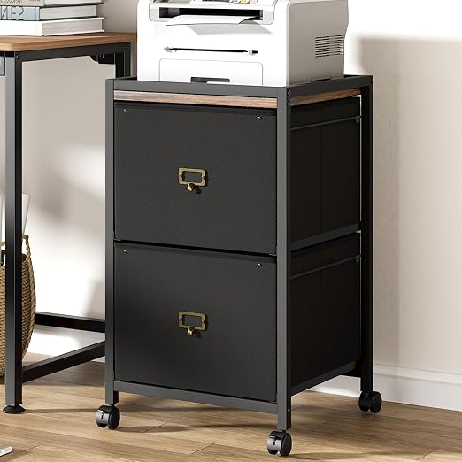 Amazon.com: IDEALHOUSE 2 Drawer File Cabinet, Mobile Filing Cabinet for ...