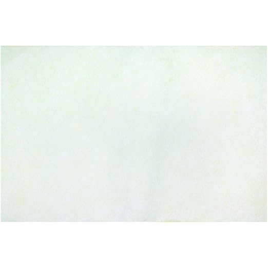 Amazon.com: Roylco Color Diffusing Paper - 12 x 18 inches - Pack of 50 ...