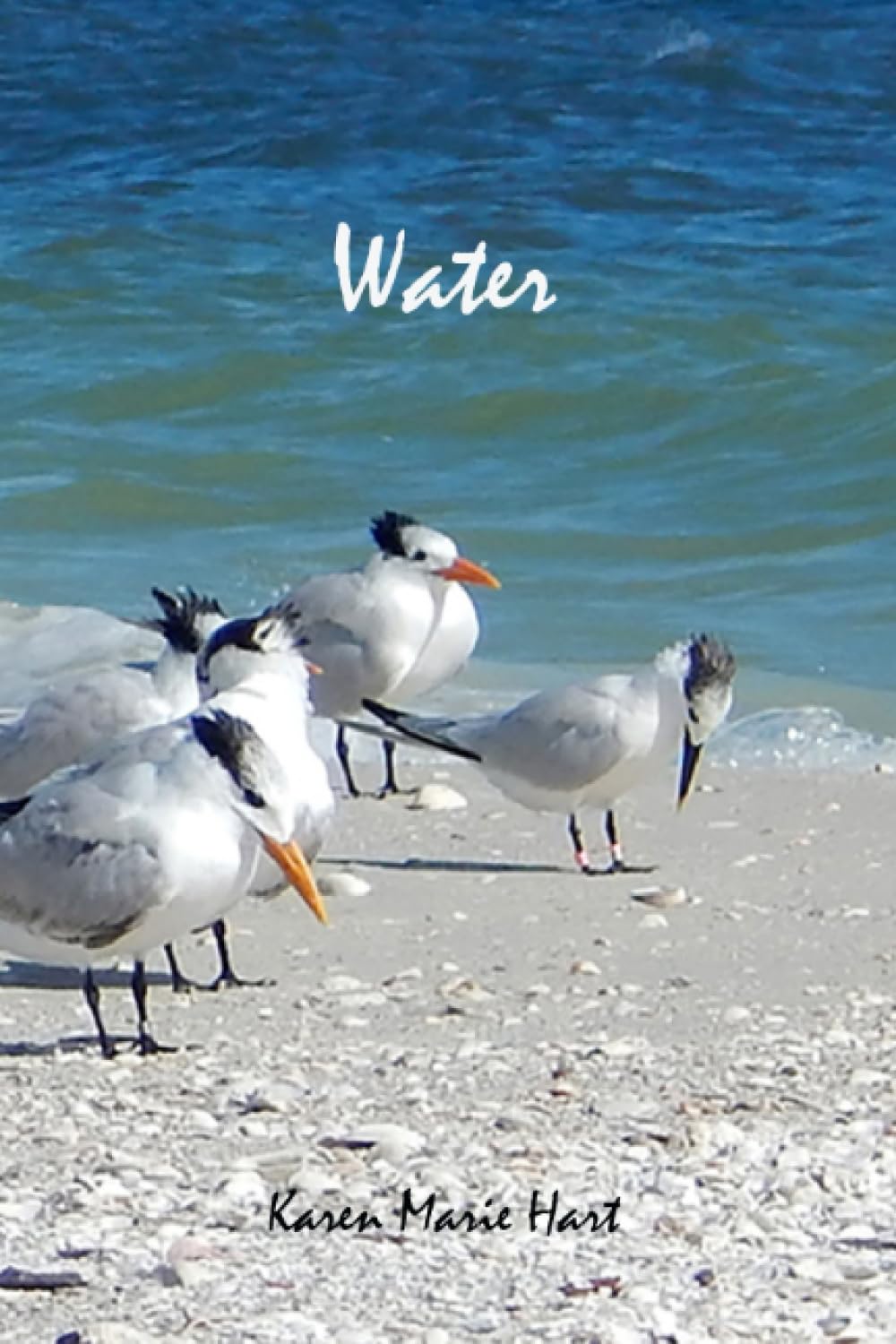 Water: Hart, Karen Marie: 9780985482480: Amazon.com: Books