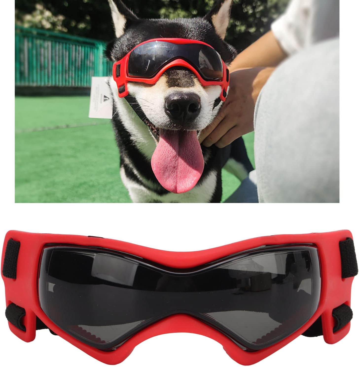 Amazon.com : Dog Eye Protection Glasses, Cool Handsome Dog Goggles UV ...
