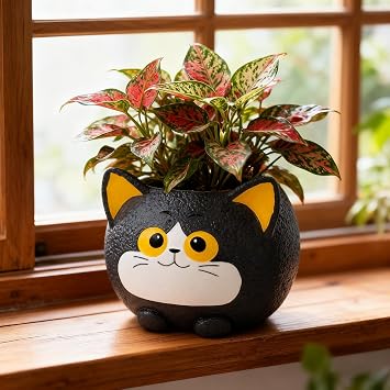 Amazon.com : Toparad Black Cat Planter Pot - Unique Resin Succulent ...