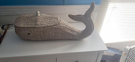 Amazon.com: Creative Co-Op Bankuan Rope Whale Box with Lid : Home & Kitchen