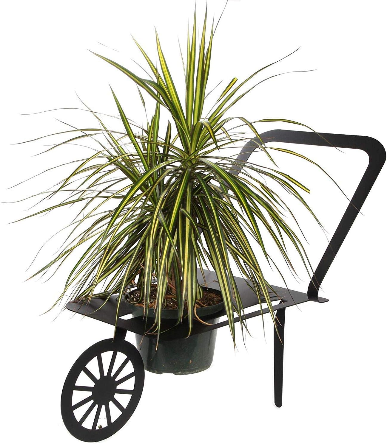 Amazon.com: Lily's Home Mini Wheelbarrow Metal Yard Art, Flower Pot ...