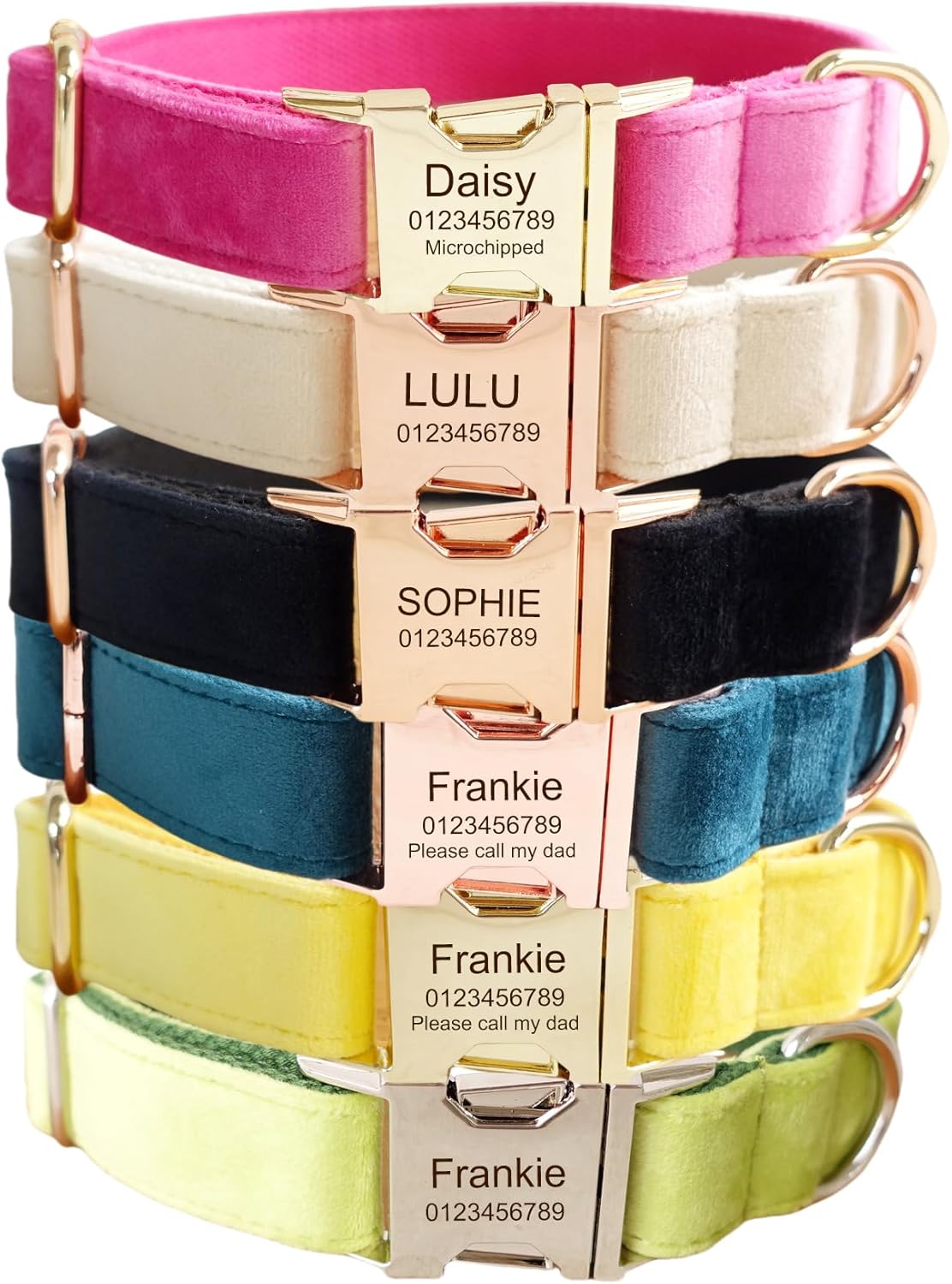 Custom Engraved Dog Collar with Name and Phone Number, Personalized for ...