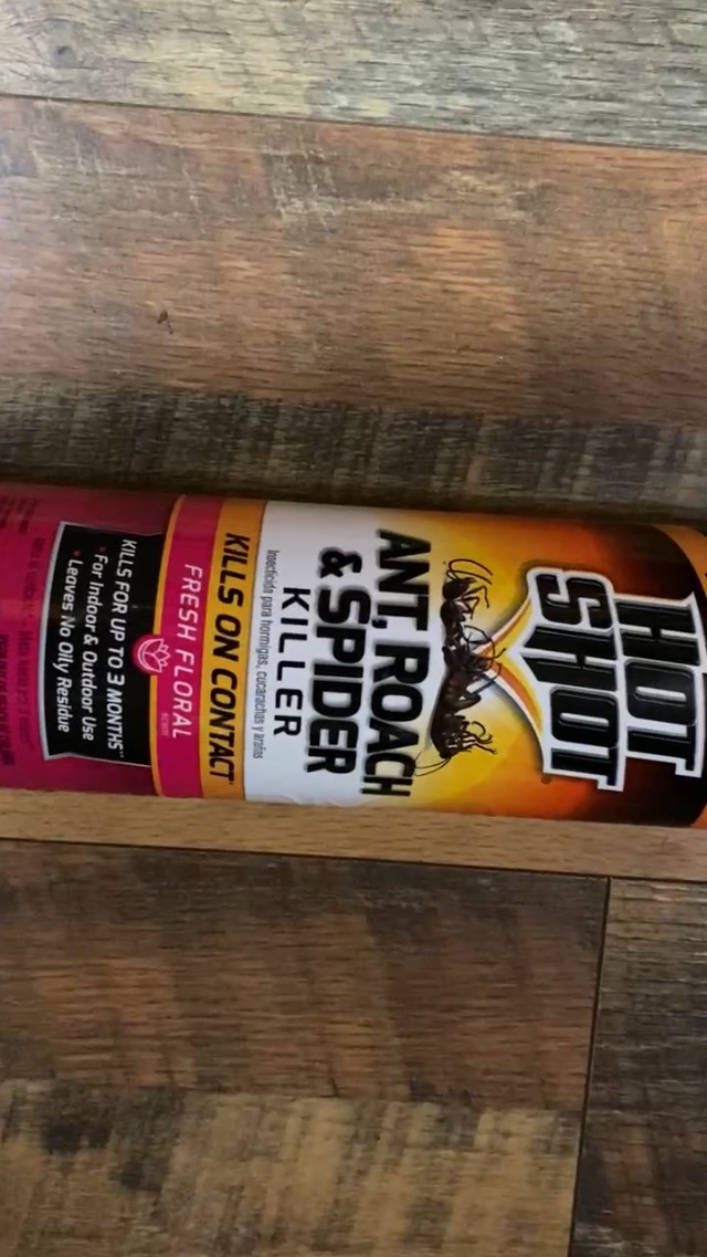 Watch Hot shot ant roach spider spray review on Amazon Live