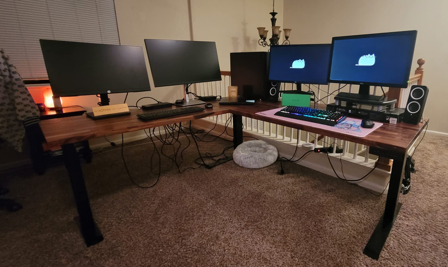 $45/mo - Finance S STAND UP DESK STORE Triple Motor Electric L-Shaped ...