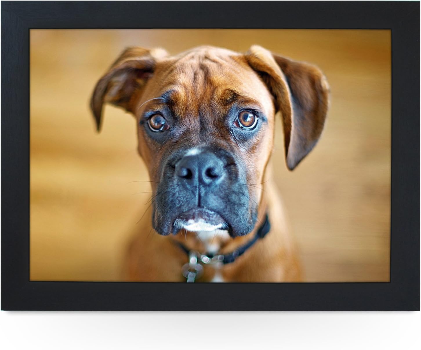 Portable Lap Desk Tray (Boxer Dog) Handmade Wooden Frame, Beanbag ...
